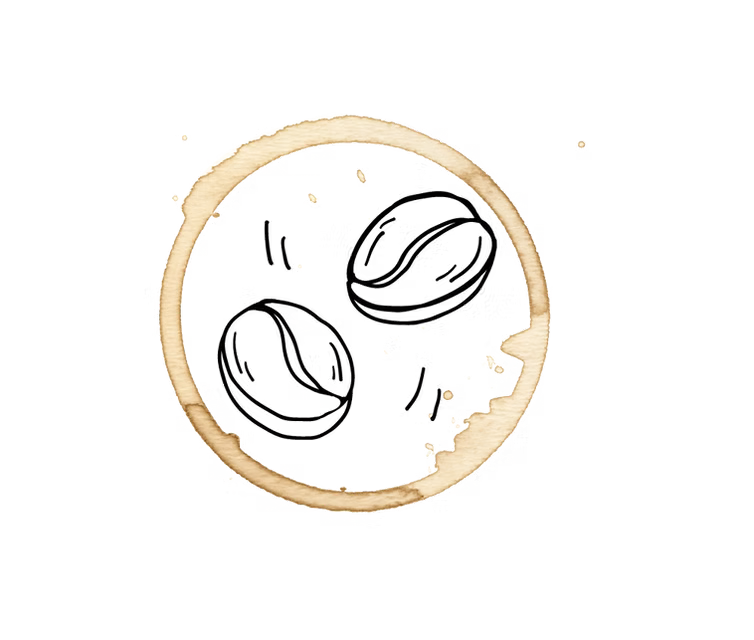 Coffee Plus Specialty Coffee Collection | Indian & Global Coffees